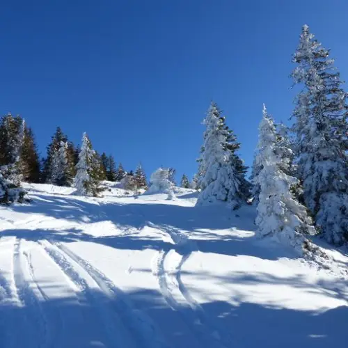 Flash Info | Charnay Loisirs